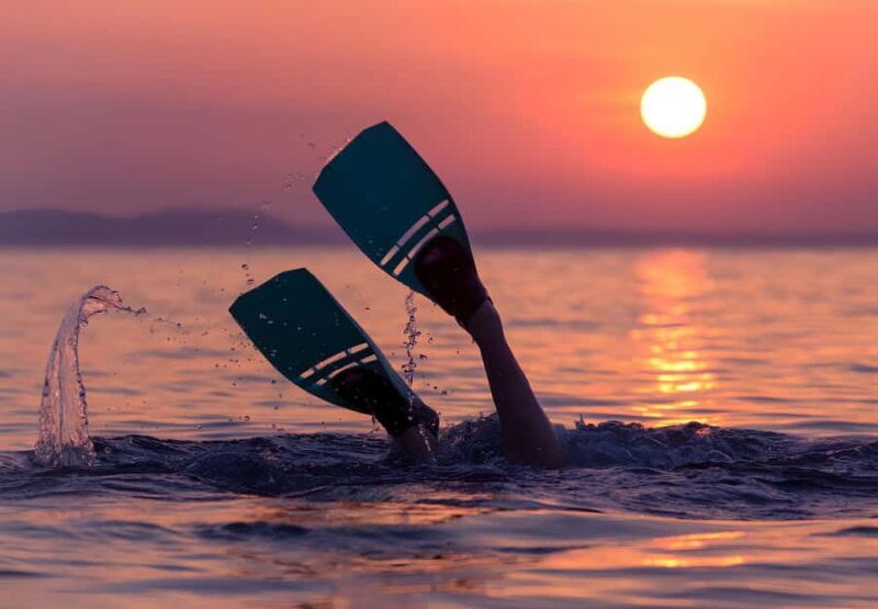 sunset snorkling trip - The Experience: What You’ll Love (and What to Watch For)