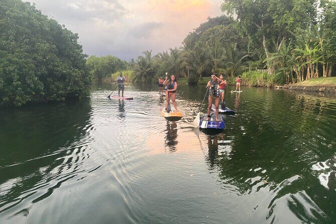 Sunset Stand Up Paddle with Photos and Turtles - FAQ