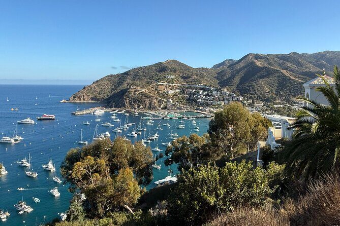 Sunset Summit Catalina Island Shared Tour - FAQ: Your Questions Answered