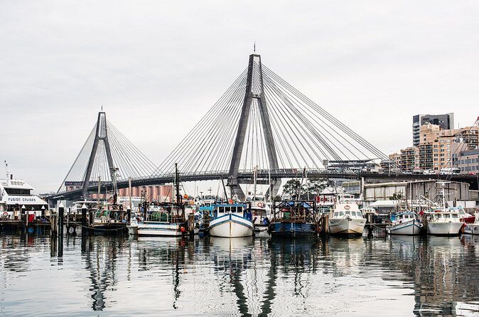 Sunset Sydney Fish Market Tour - Final Thoughts