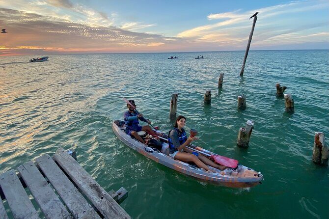 Sunset toast and bioluminescence in clear kayak - Authenticity and Traveler Feedback