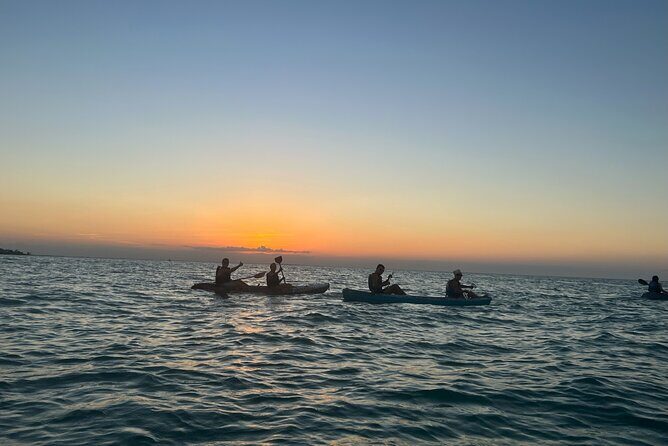 Sunset toast and bioluminescence in clear kayak - Final Thoughts