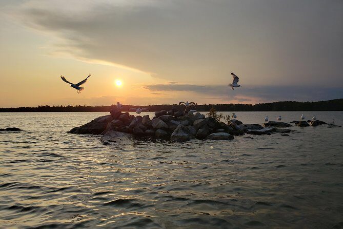 Sunset Tour by Kayak on Sebago Lake Maine - Who Might Not Love It?