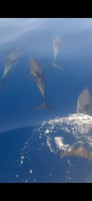 Sunset tour in search of dolphins with aperitif - Navigating a 3-Hour Sicilian Coastline Adventure