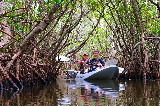 Sunset Tour Mangrove, Dolphins, Manatee #1 Rated in Cocoa Beach - What Makes This Tour Stand Out?