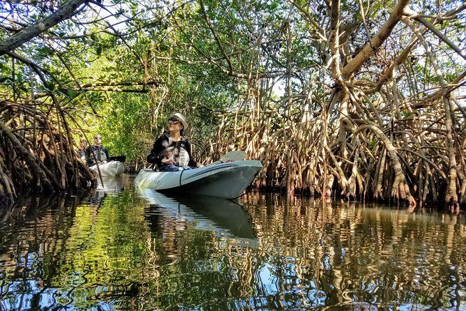 Sunset Tour Mangrove, Dolphins, Manatee #1 Rated in Cocoa Beach - The Practical Side: Planning Your Trip
