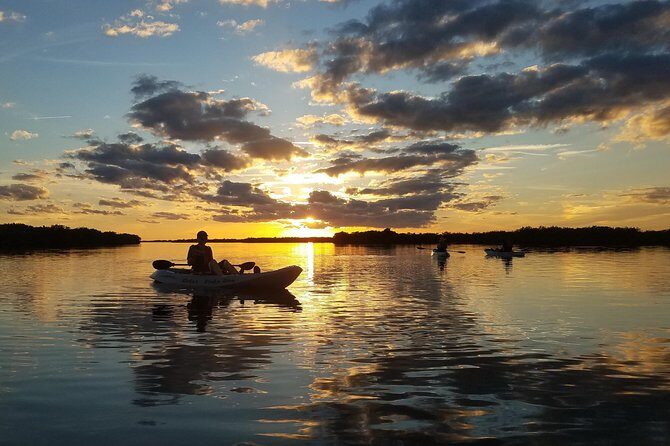 Sunset Tour Mangrove, Dolphins, Manatee #1 Rated in Cocoa Beach - Who is This Tour Best For?