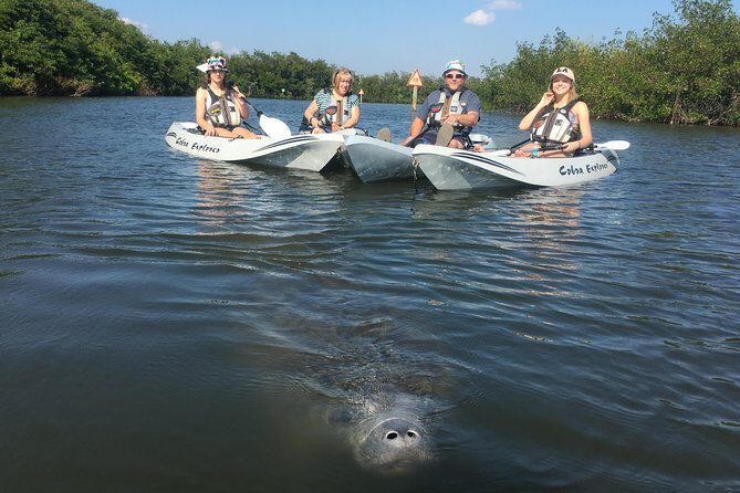 Sunset Tour Mangrove, Dolphins, Manatee #1 Rated in Cocoa Beach - Final Thoughts