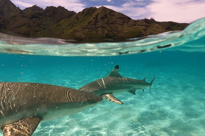 Sunset tour on a unique polynesian sailing outrigger - Final Thoughts