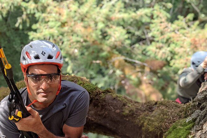 Sunset Tree Climb at Silver Falls State Park - FAQ