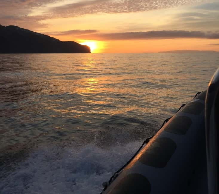 Sunset Trip + Dolphin & Whale Watching - Speed Boat - What To Expect on the Water