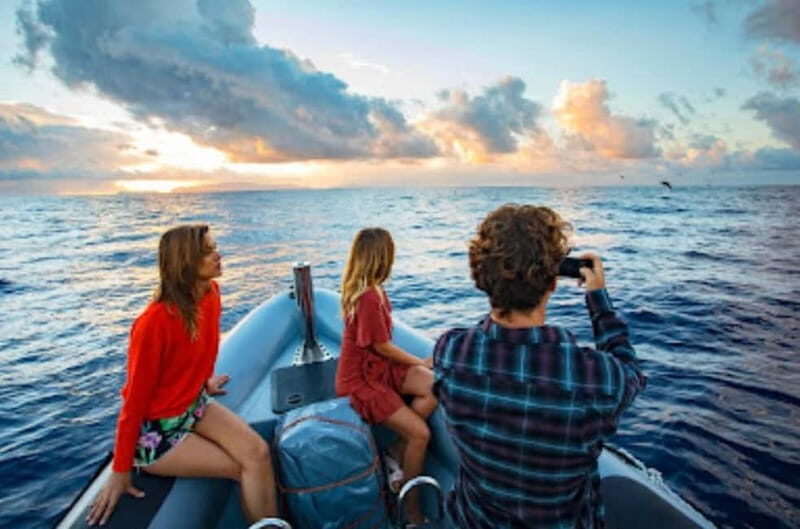 Sunset Trip + Dolphin & Whale Watching - Speed Boat - Final Thoughts: Who Will Love This Tour?