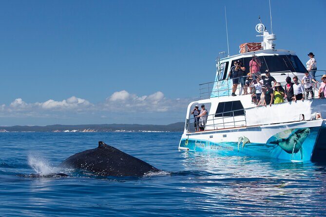 Sunset Twilight Cruise in Hervey Bay - Practical Tips for Making the Most of Your Cruise