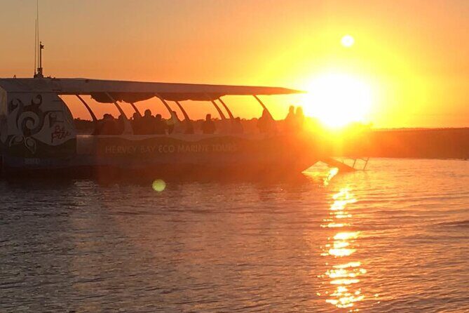 Sunset Twilight Cruise in Hervey Bay - Is This Cruise Worth the Price?