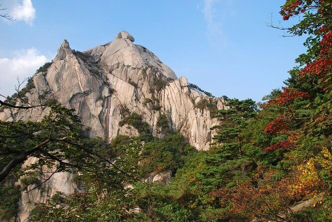 Sunset view & hiking through Seoul Fortress with seafood Market - An Authentic and Active Way to Explore Seoul
