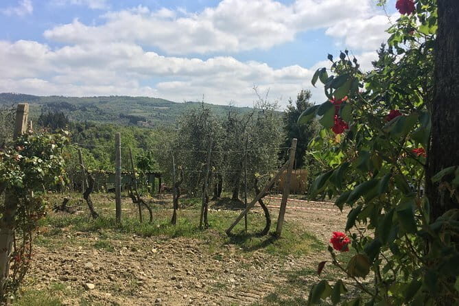 Sunset VIP Chianti wine tour - Practical Details & Why This Tour Works