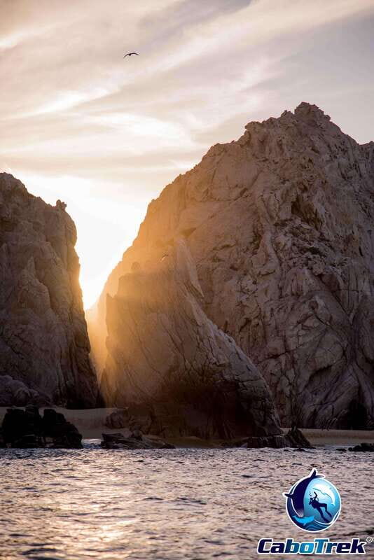 Sunset Whale Watching Cruise in Cabo San Lucas - Why This Tour Offers Good Value