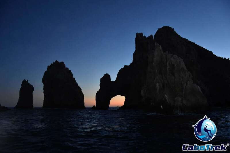 Sunset Whale Watching Cruise in Cabo San Lucas - Who Should Consider This Tour?