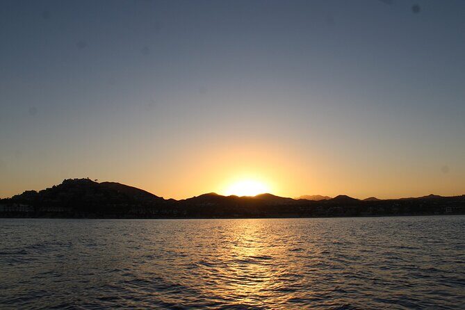 Sunset Whale Watching in San Jose del Cabo - The Experience in Detail