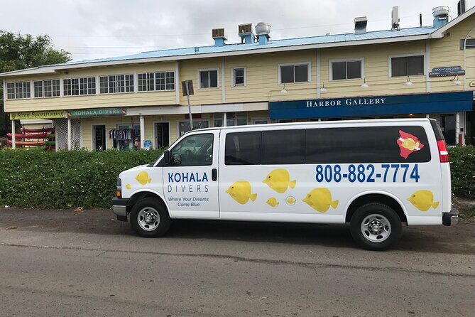 Sunset Whale Watching Shared Activity - A Deep Dive into the Experience
