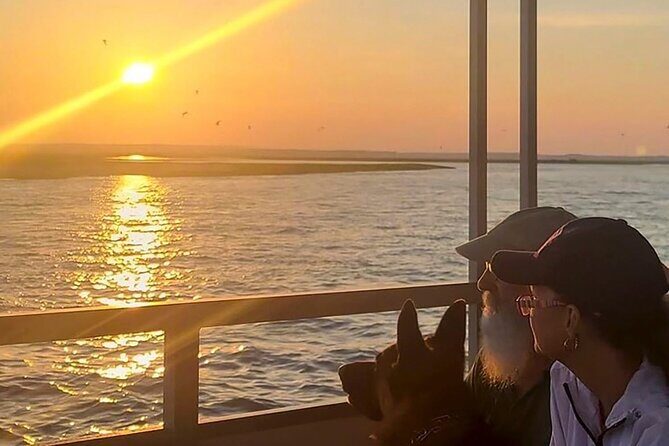 Sunset Wildlife Cruise along Assateague & Chincoteague Island - An In-Depth Look at the Experience