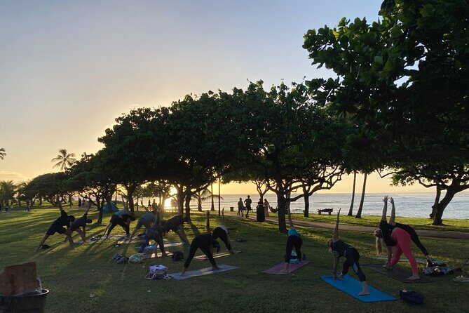 Sunset Yoga Flow at Magic Island - The Experience: What to Expect
