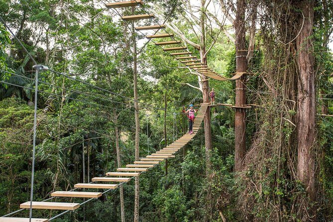 Sunshine Coast Adventure Park TreeTop Challenge - An Exciting Look at the Sunshine Coast Adventure Park TreeTop Challenge