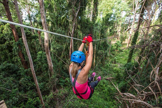 Sunshine Coast Adventure Park TreeTop Challenge - Key Points