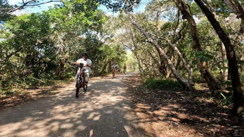 Sunshine Coast: Easy Peasy Novotel North E-Bike Tour - An Easy Introduction to the Sunshine Coast’s Natural Beauty