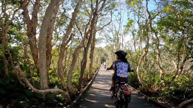 Sunshine Coast: Easy Peasy Novotel North E-Bike Tour - The Experience Itself: What You Can Expect