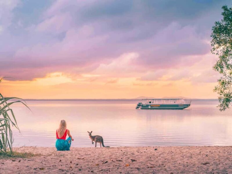 Sunshine Coast: Eumundi & Noosa Everglades with River Cruise - Who This Tour Is Perfect For