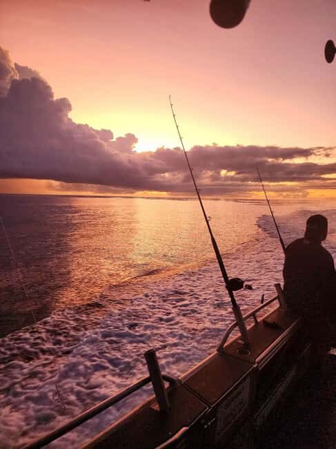 Sunshine Coast: Fishing Charters - Authentic Feedback from Participants