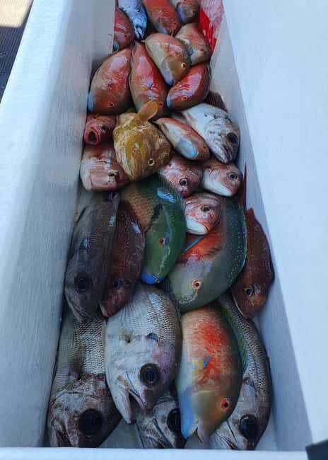 Sunshine Coast: Fishing Charters - The Sum Up