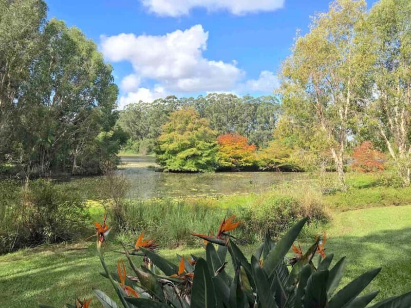 Sunshine Coast: Ginger Factory, Eumundi, & Botanic Gardens - Frequently Asked Questions