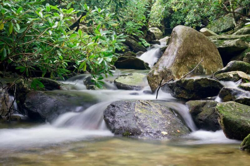 Sunshine Coast: Hinterland Adventure Private 4WD Jeep Tour - What’s Included and What to Expect