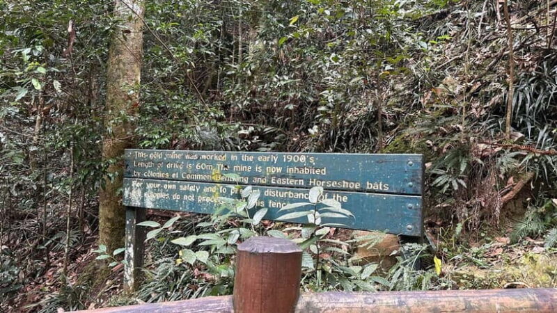 Sunshine Coast: Hinterland Adventure Private 4WD Jeep Tour - FAQ
