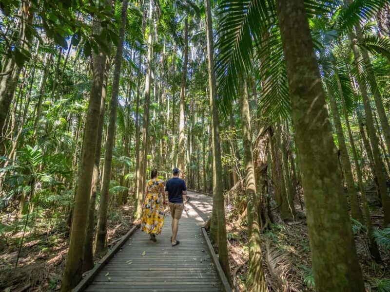 Sunshine Coast Hinterland Private Tour from Brisbane - The True Value of the Tour