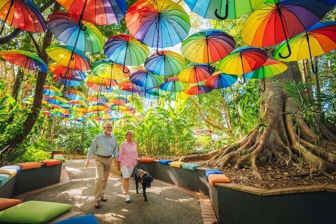 Sunshine Coast Hinterland Private Tour from Brisbane - An Honest Look at the Sunshine Coast Hinterland Private Tour from Brisbane