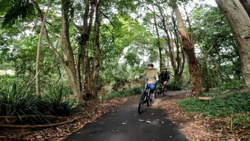 Sunshine Coast: Maleny Magic Guided e-Bike Tour - Introduction: Why This Tour Might Be Your Next Favorite