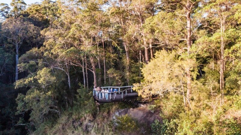 Sunshine Coast & Noosa Hinterland Scenic Culinary Experience - The Lakeside Lunch Experience