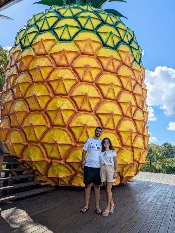 Sunshine Coast: Private Customizable Day Tour - Key Points