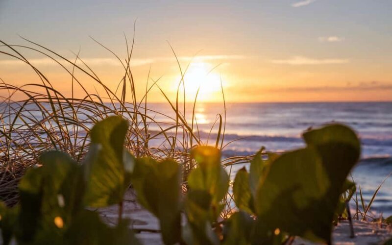 Sunshine Coast: Private Customizable Day Tour - Exploring the Sunshine Coast on Your Terms