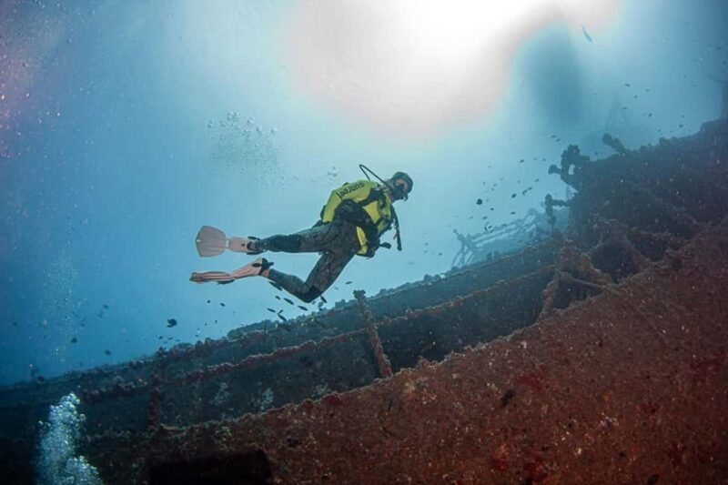 Sunshine Coast: Scuba Dive the Ex-HMAS Brisbane Ship Wreck - The Marine Environment and Visibility Conditions