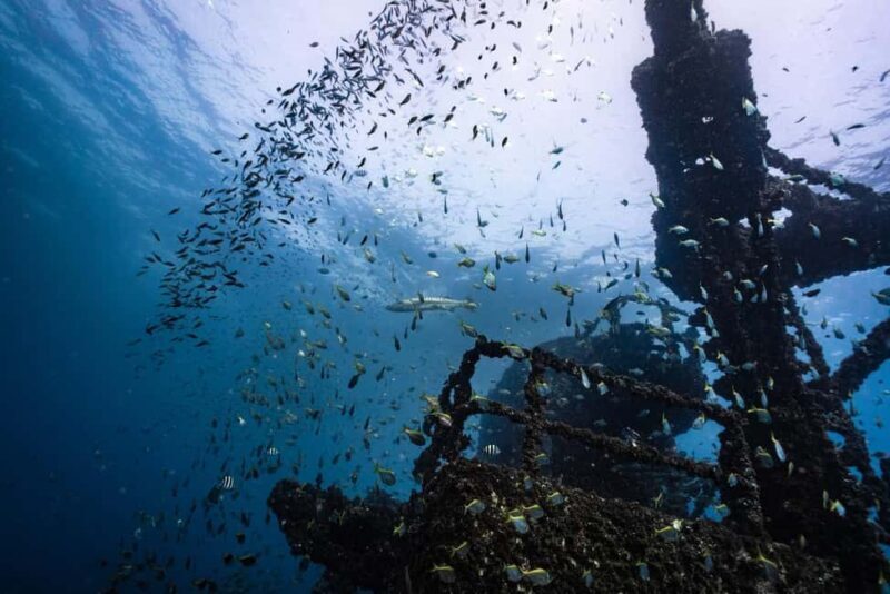 Sunshine Coast: Scuba Dive the Ex-HMAS Brisbane Ship Wreck - Who Should Consider This Tour?