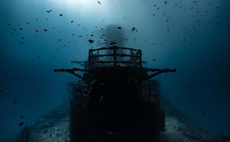 Sunshine Coast: Scuba Dive the Ex-HMAS Brisbane Ship Wreck - The Sum Up: Is It Worth It?