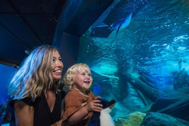 Sunshine Coast: SEA LIFE Sunshine Coast Entry Ticket - Final Thoughts: Is it Worth It?