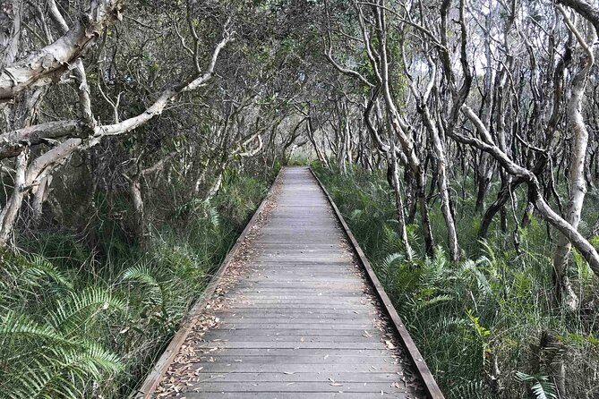 Sunshine Coast Seaside Explorer Private Tour with Lunch - Final Thoughts