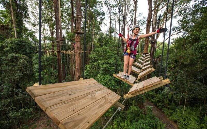 Sunshine Coast: Treetop Challenge Adventure Park - An Overview of the Experience
