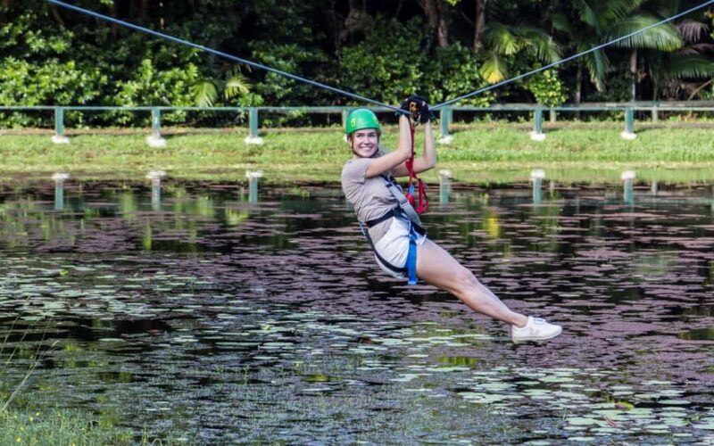 Sunshine Coast: Treetop Challenge Adventure Park - Practical Tips for Your Visit