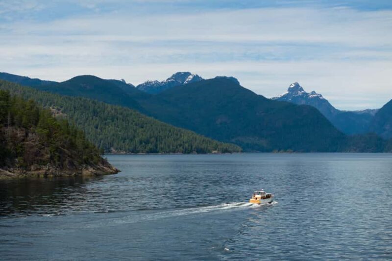 Sunshine Coast: Vintage Boat Tour with Wildlife Viewing - Practical Details and What You Need to Know